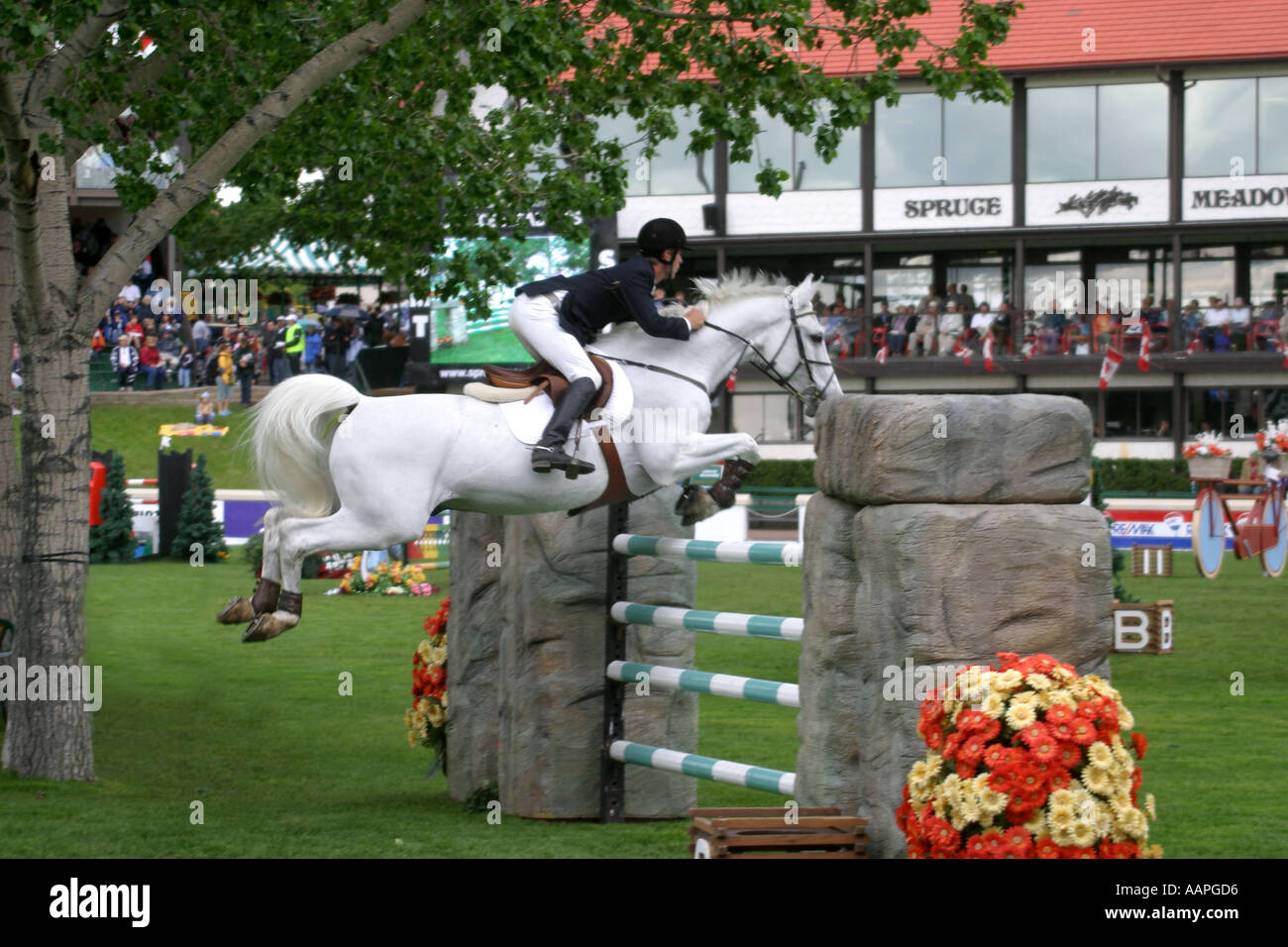 Equestrian show jumping at unity hi-res stock photography and images ...