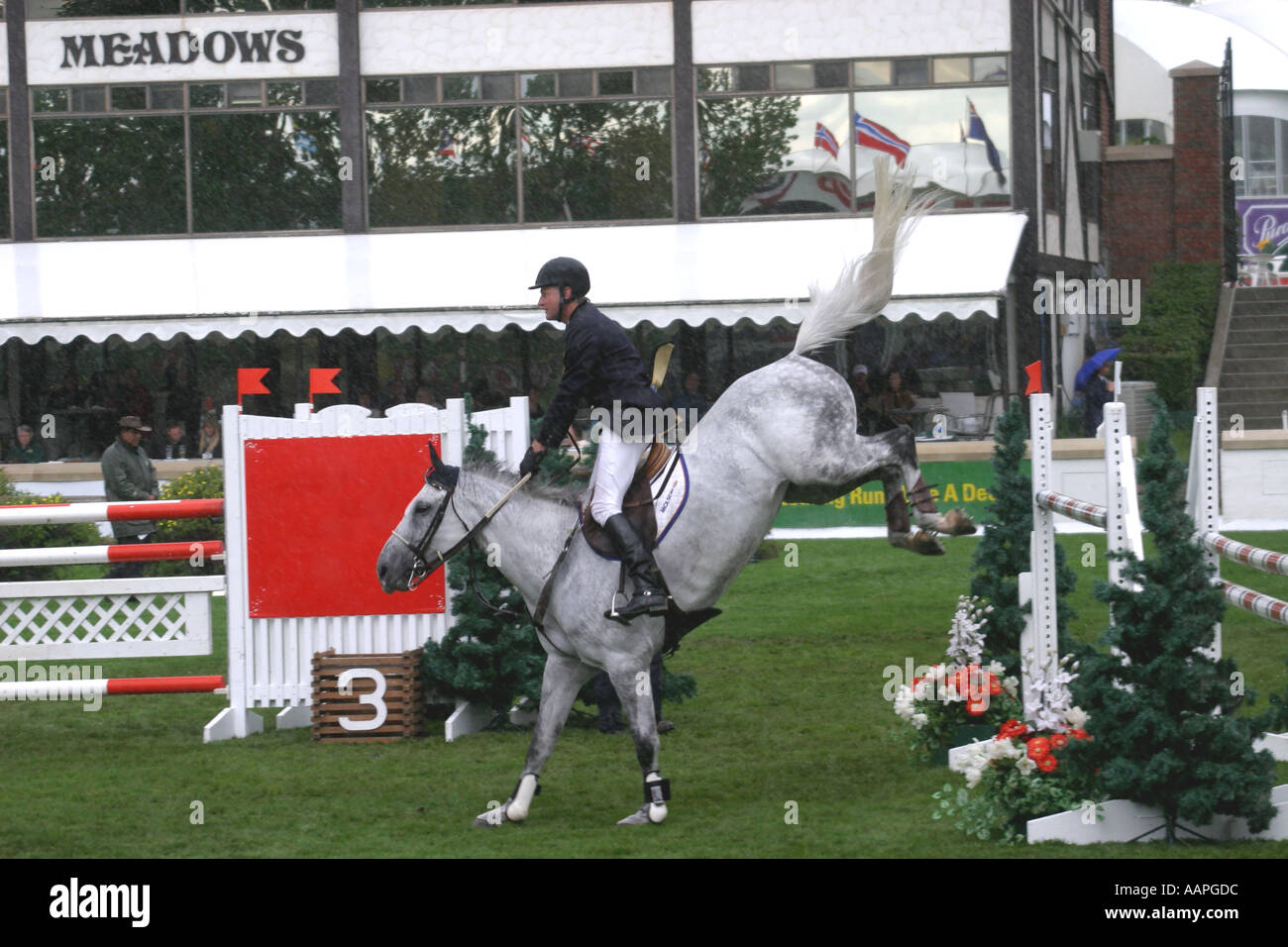 Equestrian show jumping at Calgary Alberta Canada Stock Photo - Alamy