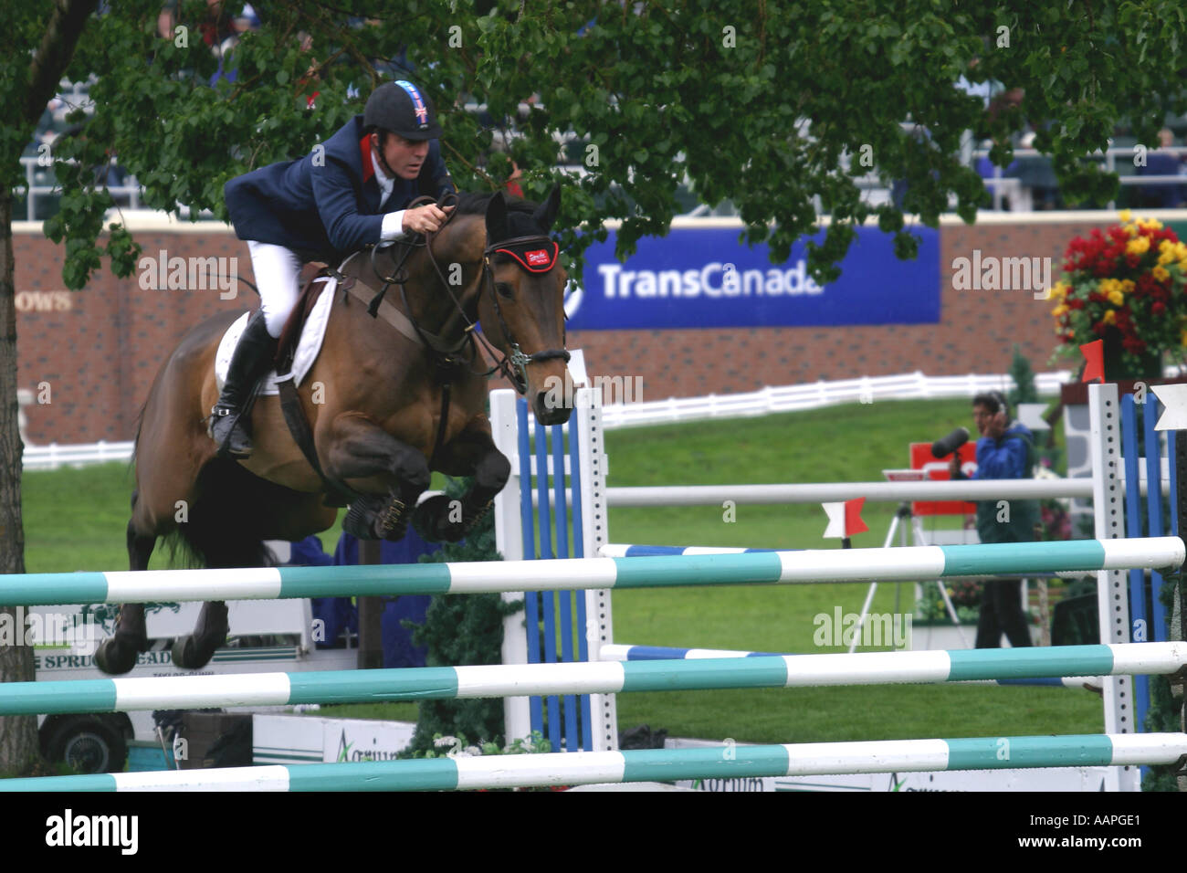 Equestrian show jumping at Calgary Alberta Canada Stock Photo - Alamy