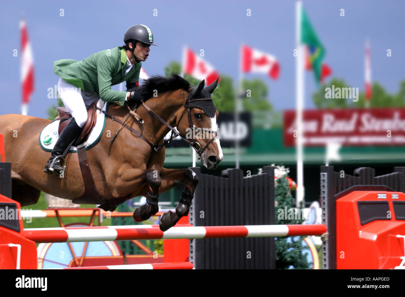 Equestrian show jumping at Calgary Alberta Canada Stock Photo - Alamy