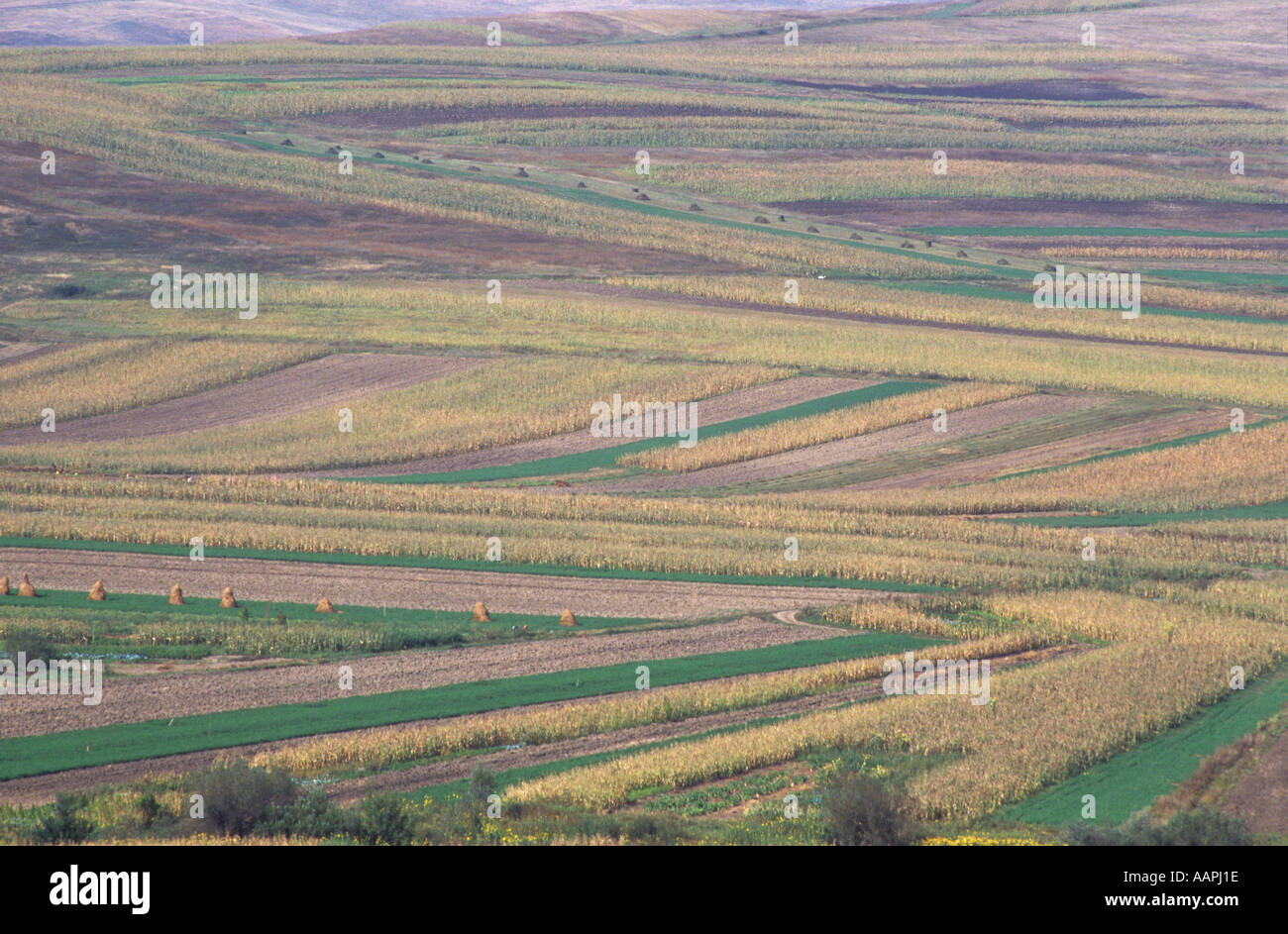 Cropping patchwork Agriculture in Romania Stock Photo - Alamy