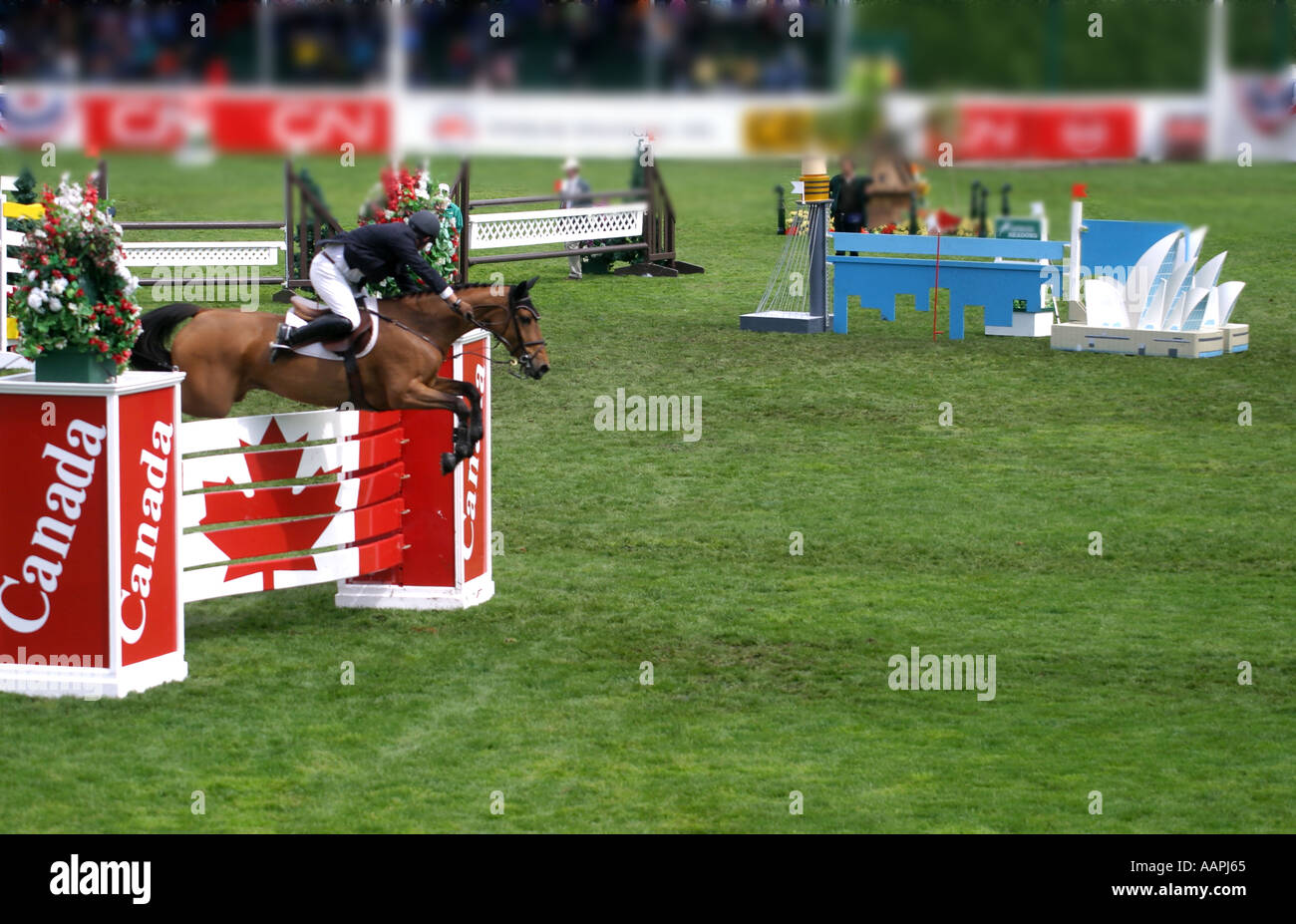 Equestrian show jumping at Calgary Alberta Canada Stock Photo - Alamy