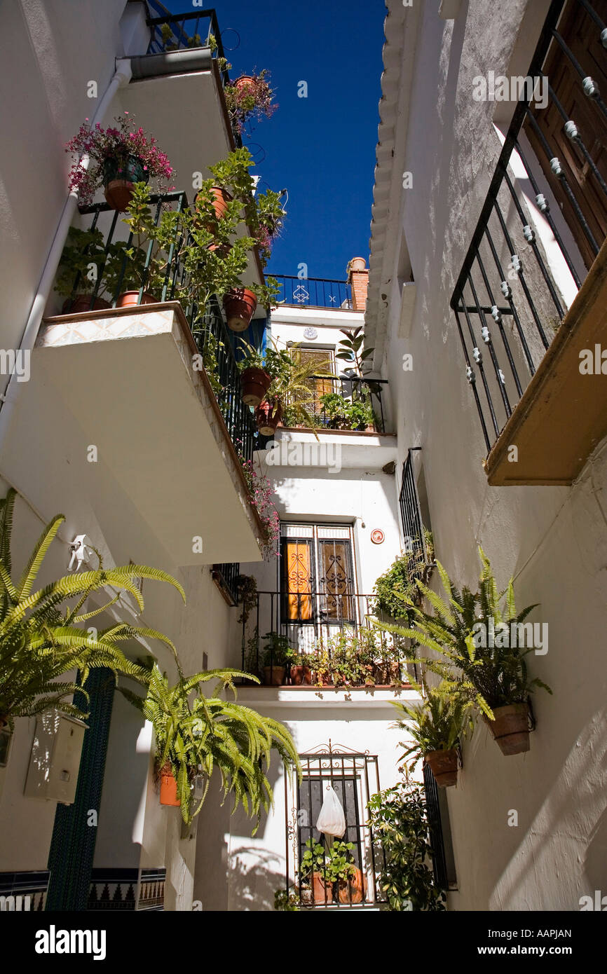 typical street in archez axarquia Malaga coast of the sun Andalusia ...