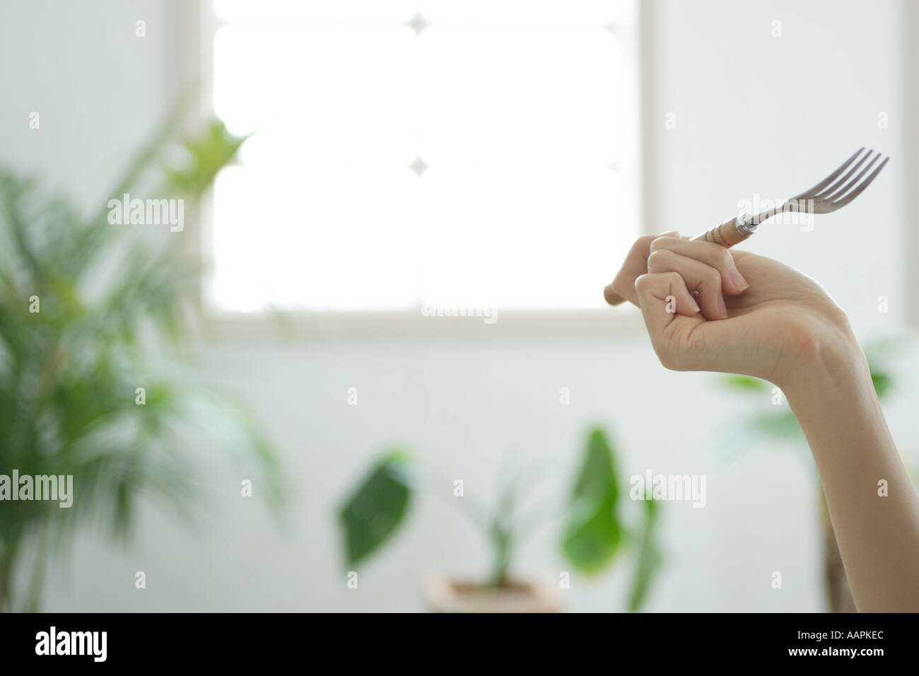 Woman hand holding fork hi-res stock photography and images - Alamy