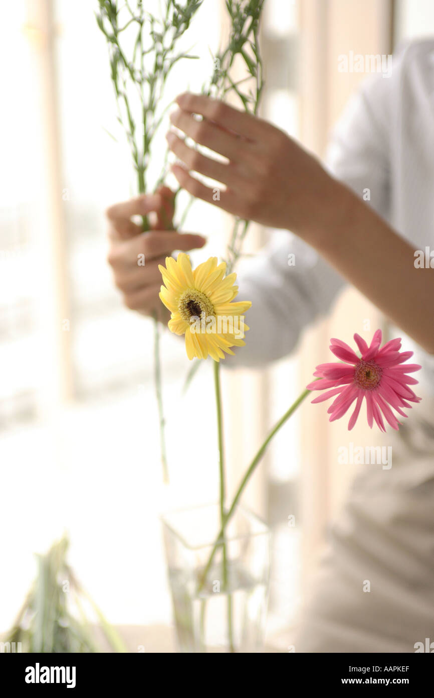 Woman flower arranging hi-res stock photography and images - Alamy