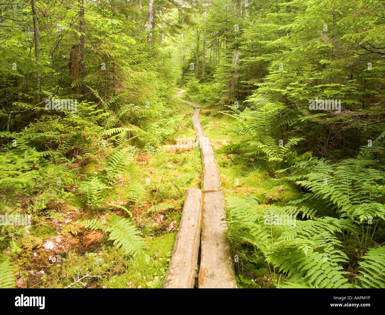 Rough hewn logs hi-res stock photography and images - Alamy