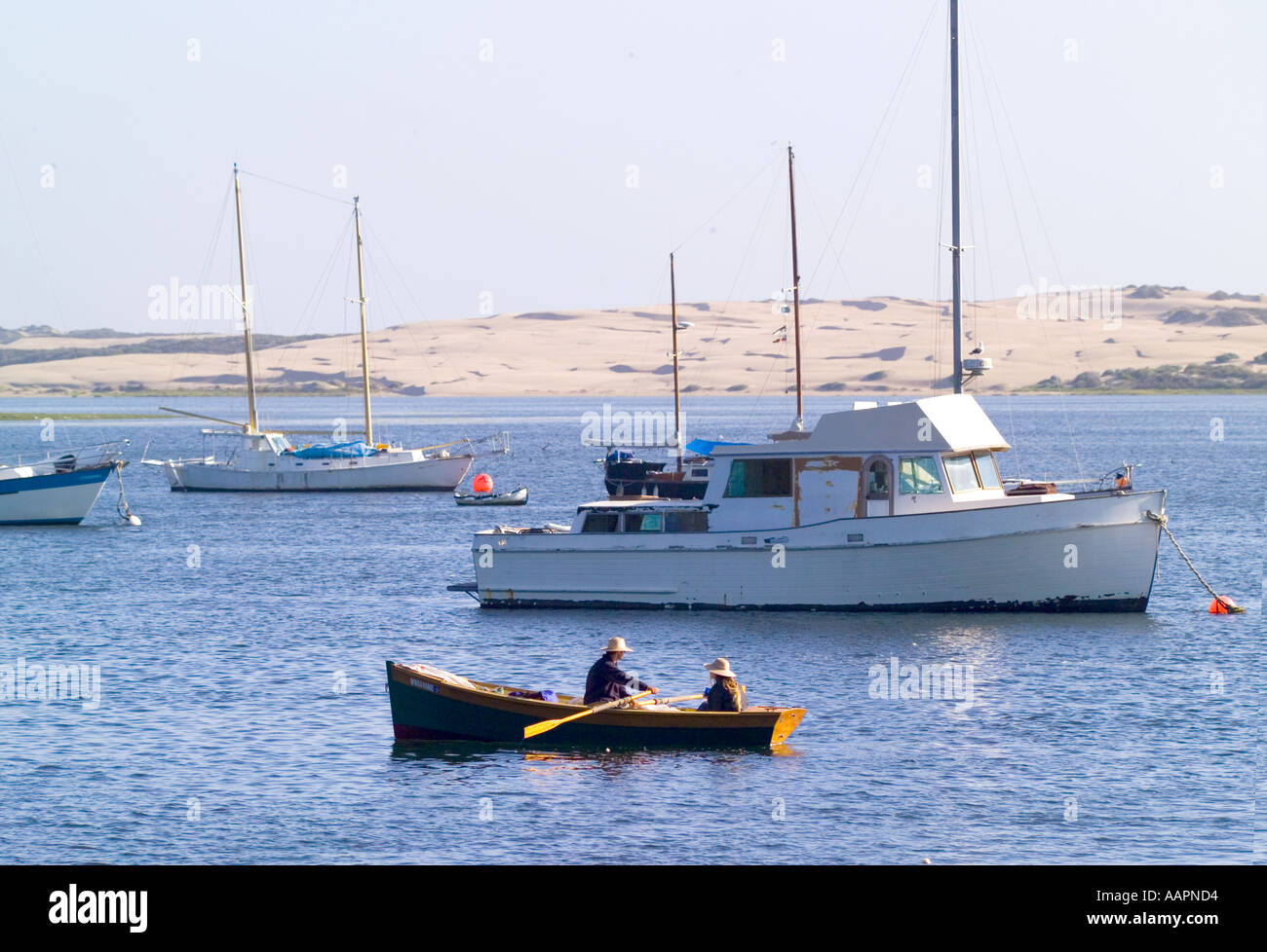 Couple row boating hi-res stock photography and images - Alamy