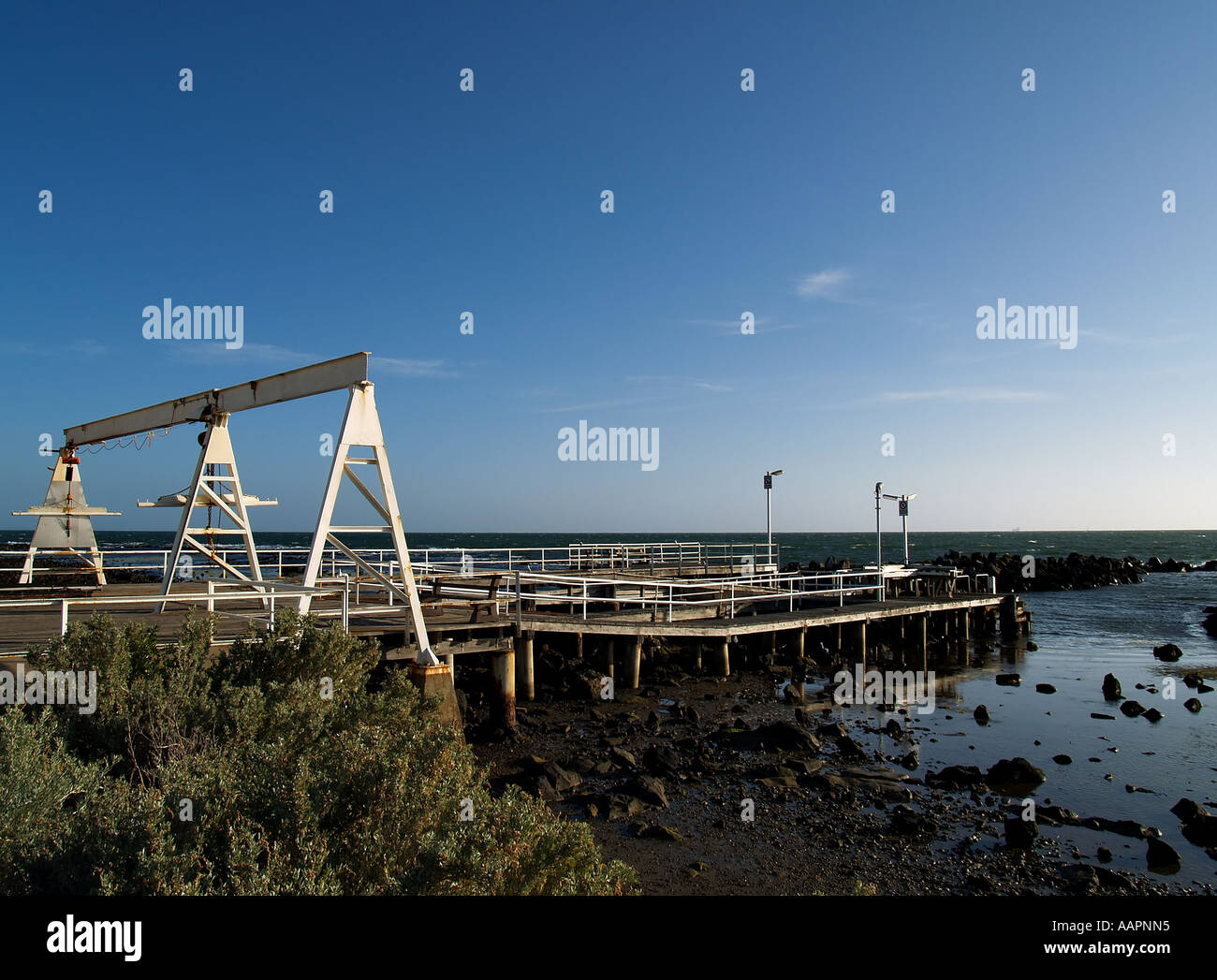 Coastal crane hi-res stock photography and images - Alamy
