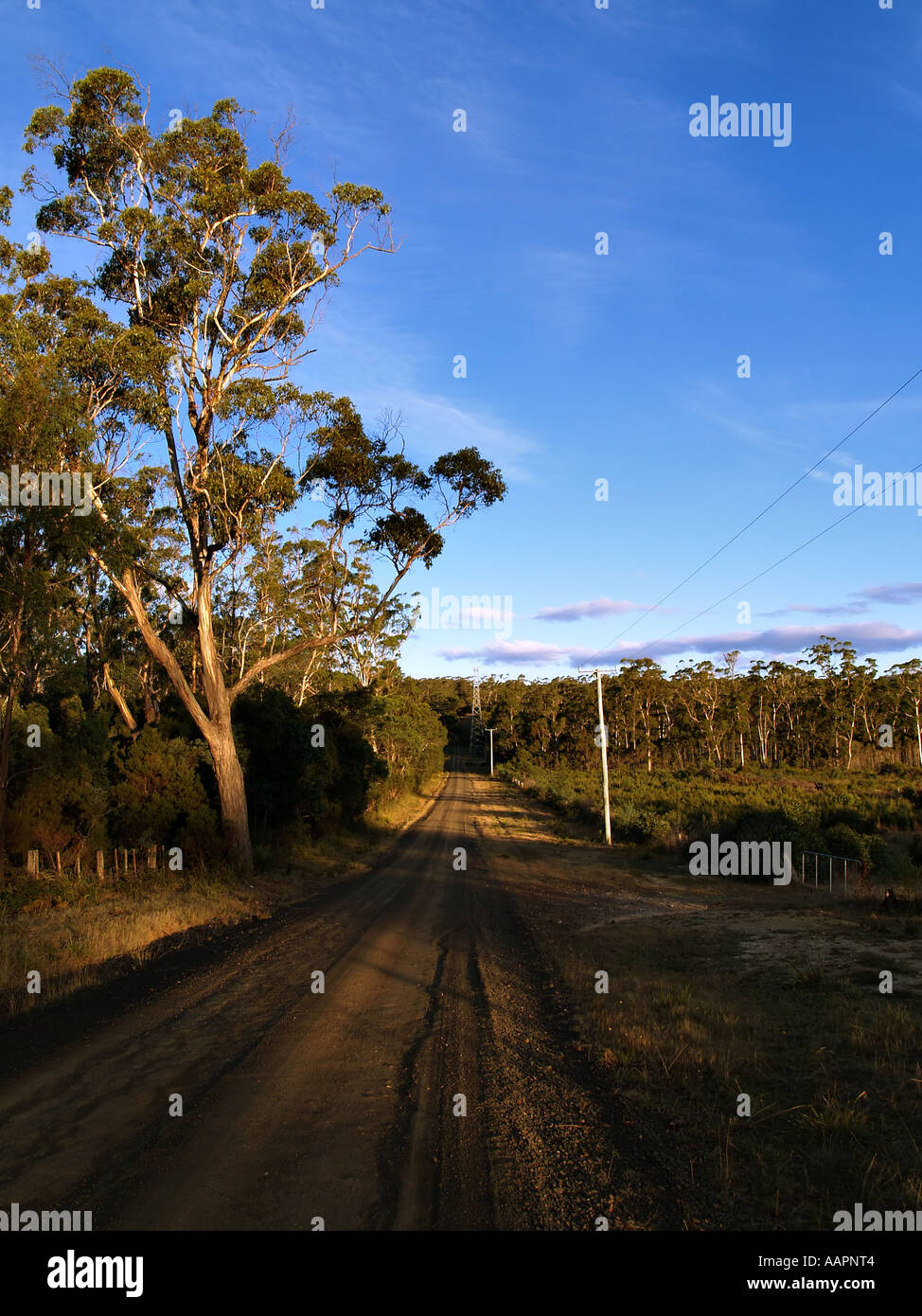 Country road in Australia Stock Photo - Alamy