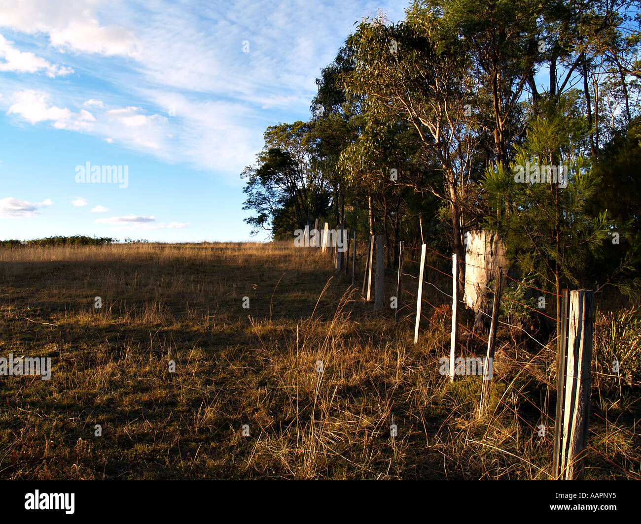 Farm in Tasmania Stock Photo - Alamy