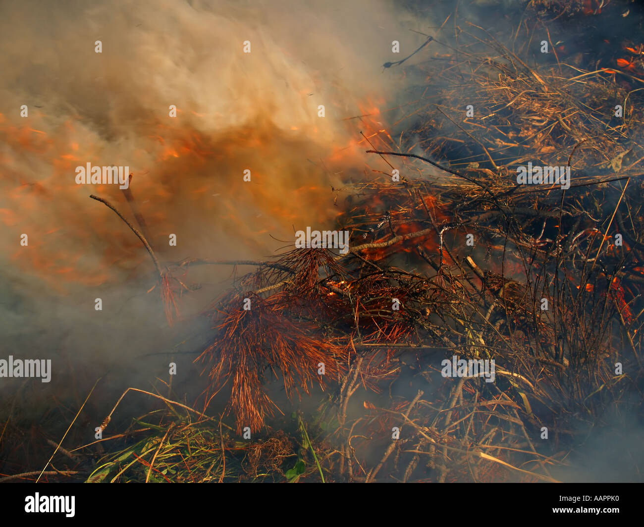 Fire carnage hi-res stock photography and images - Alamy