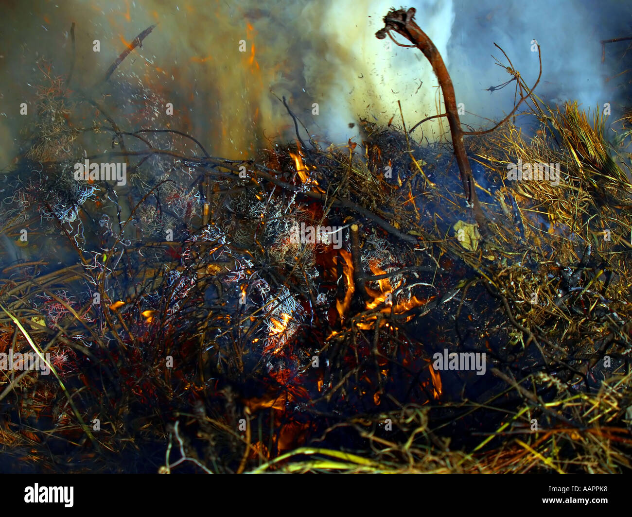 Fire carnage hi-res stock photography and images - Alamy