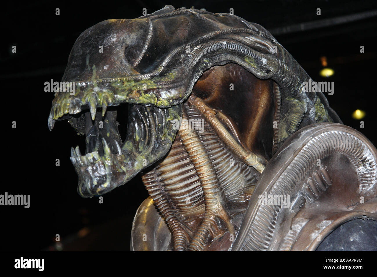 Alien. Post-ride exhibit of Backlot Tour is an attraction at Walt ...