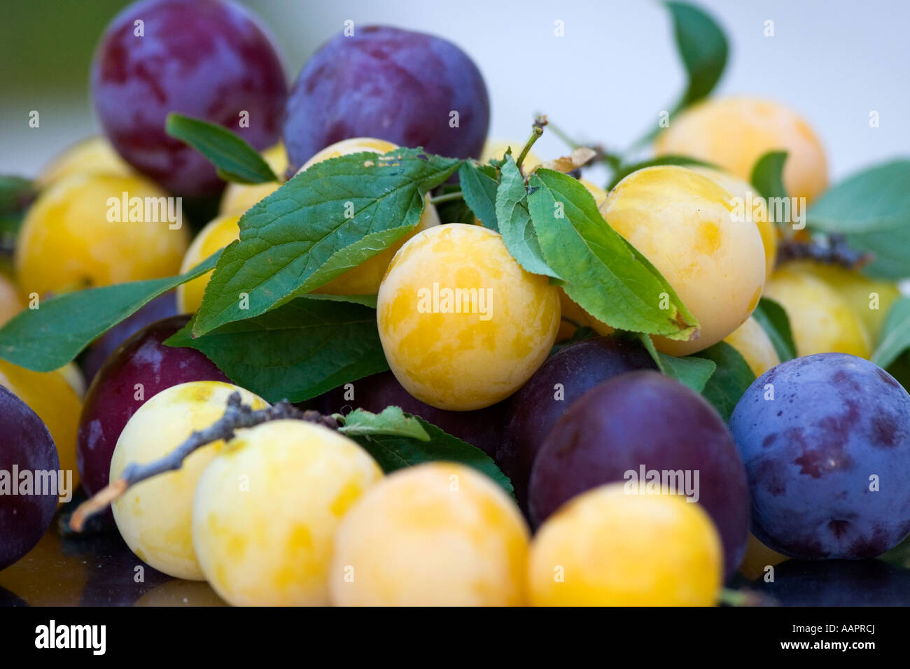Mixed organic yellow and purple plums with leaves Stock Photo - Alamy