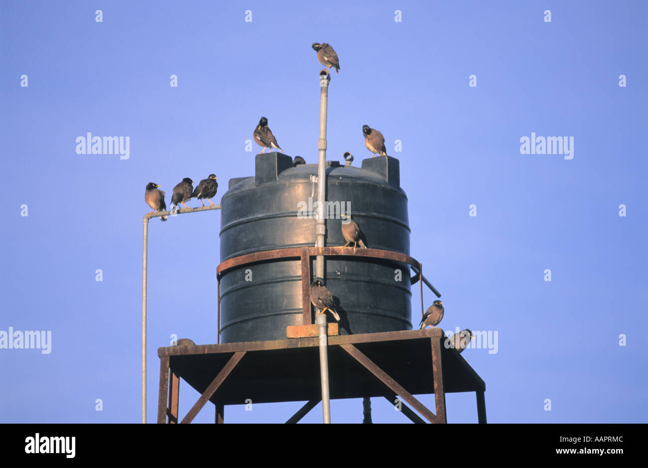 Barrel tower hi-res stock photography and images - Alamy