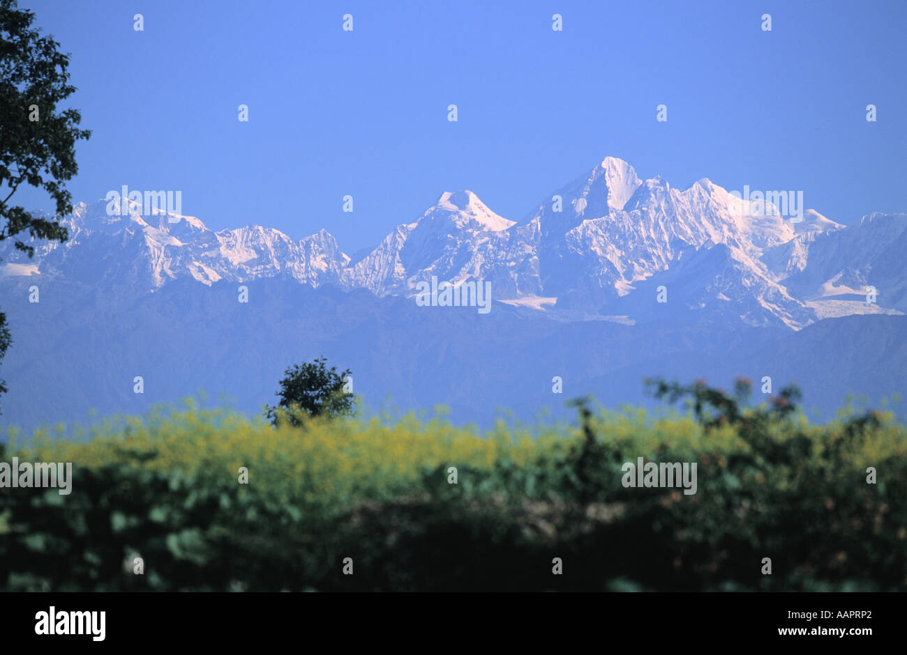 Scenic of Jugal Himal as seen from Dhulikhel area Nepal Stock Photo - Alamy