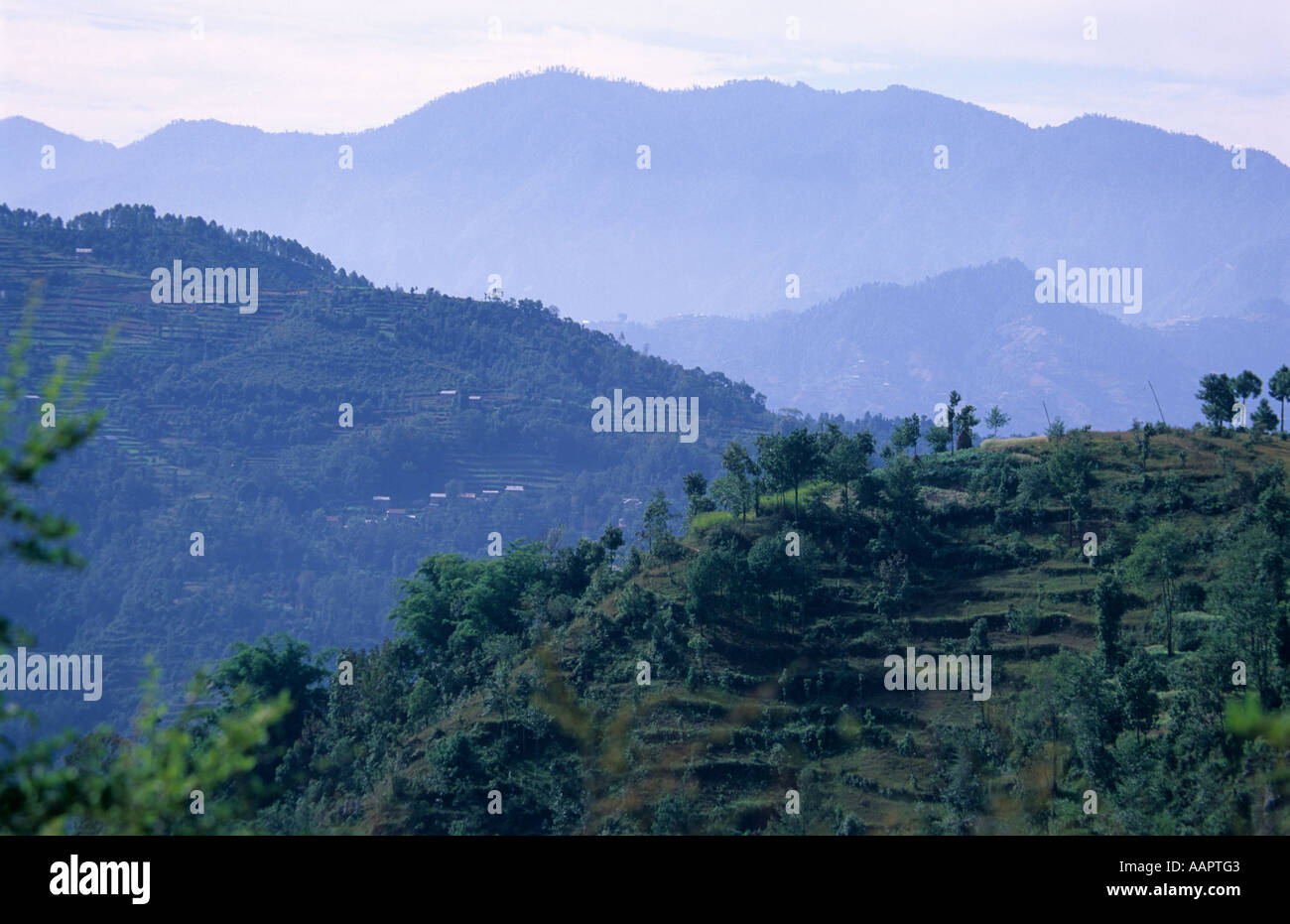 Scenic of hills in Kathmandu valley Nepal Stock Photo - Alamy