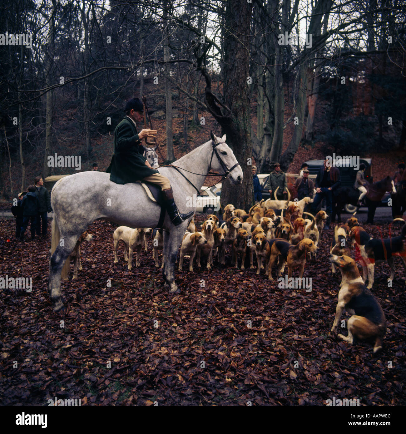 Traditional autumn hunt meeting in a woodland with huntsman on ...