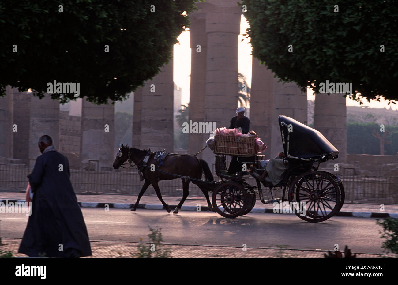 Egyptian taxi driver egypt hi-res stock photography and images - Alamy