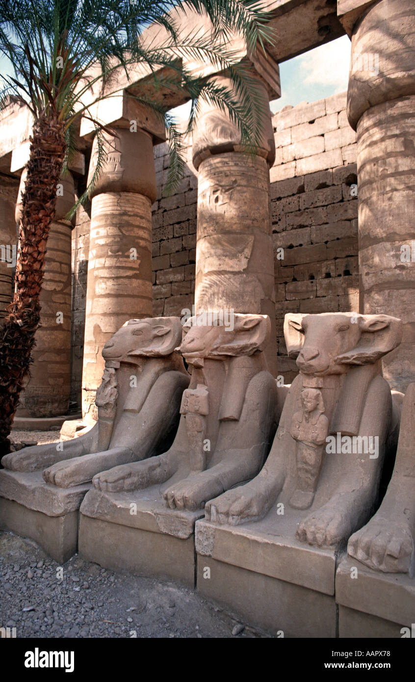 Sethos ii hi-res stock photography and images - Alamy