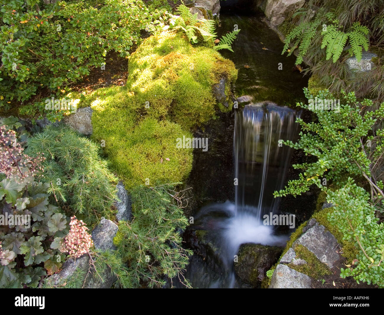Small waterfall Japanese Garden Butchart Gardens Victoria British ...