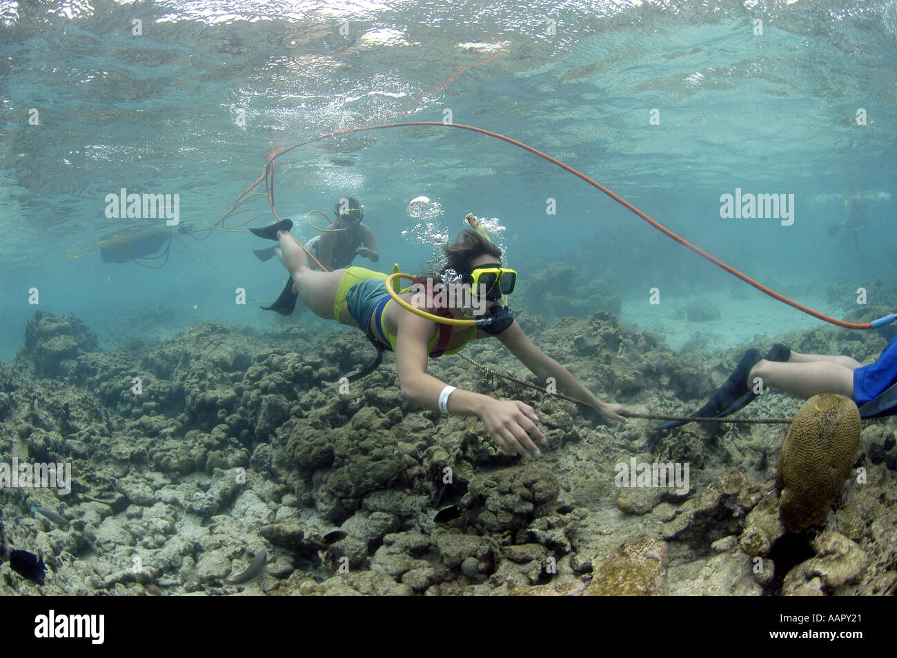 Tourist doing Snuba Aruba Netherlands Antilles Dutch Caribbean or Dutch ...