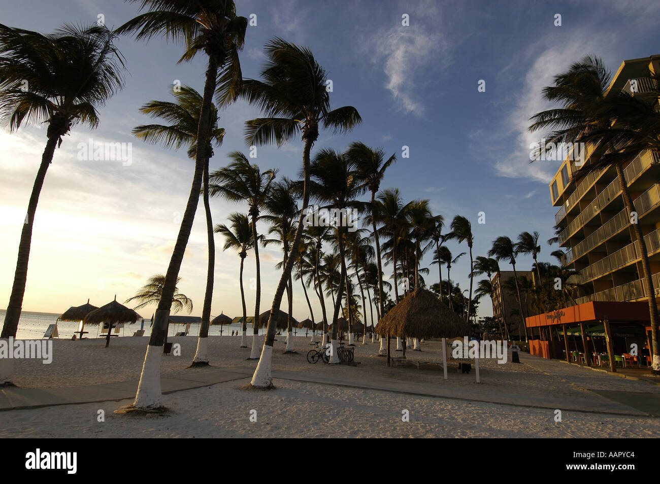 Palm Beach Aruba a sunshiny place of balmy weather sandy beaches duty ...