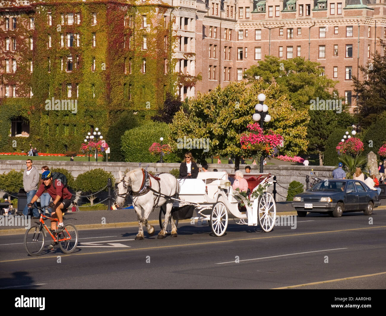 Horse drawn carriage Victoria British Columbia Canada Stock Photo - Alamy