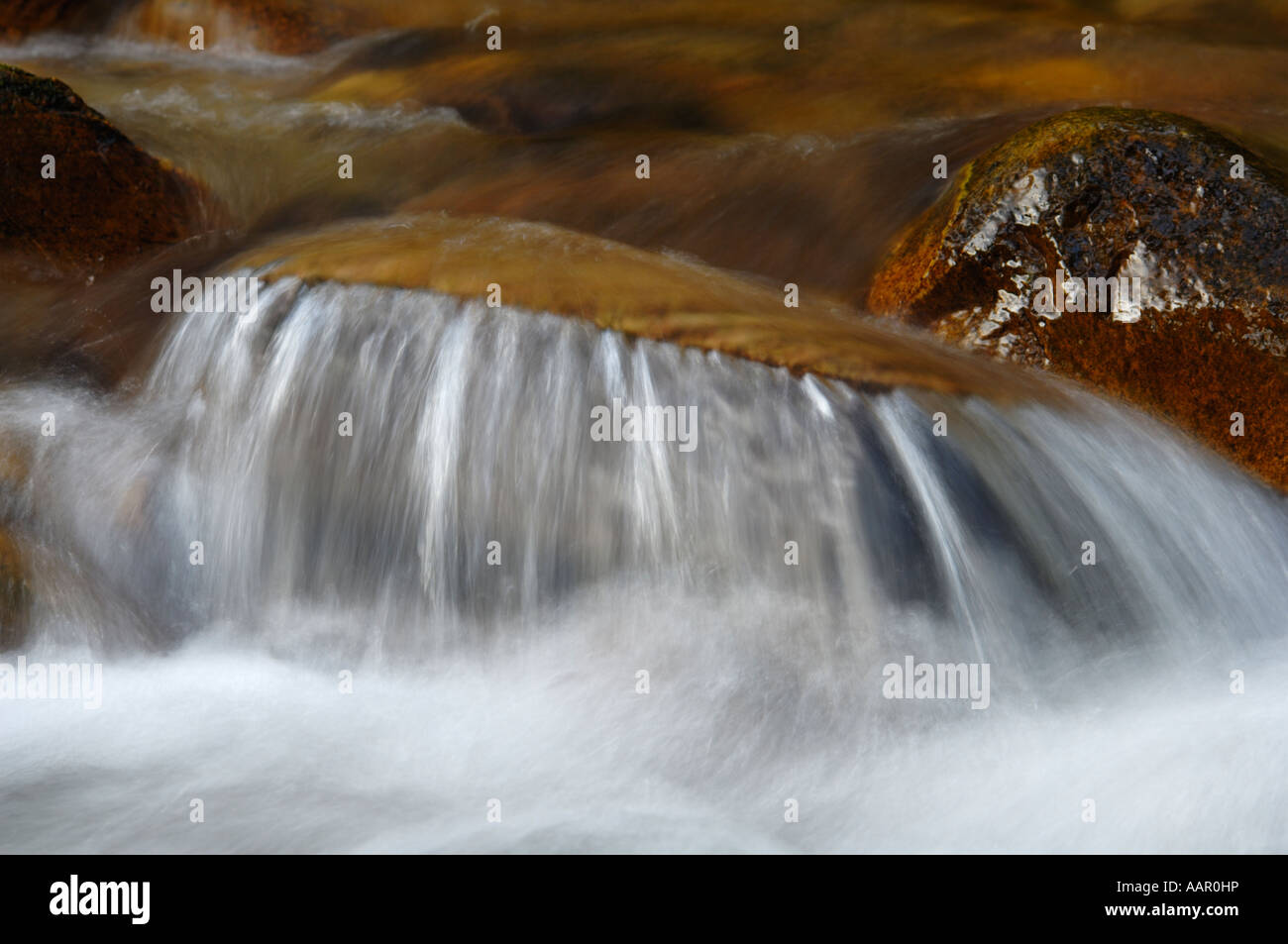 River avill hi-res stock photography and images - Alamy