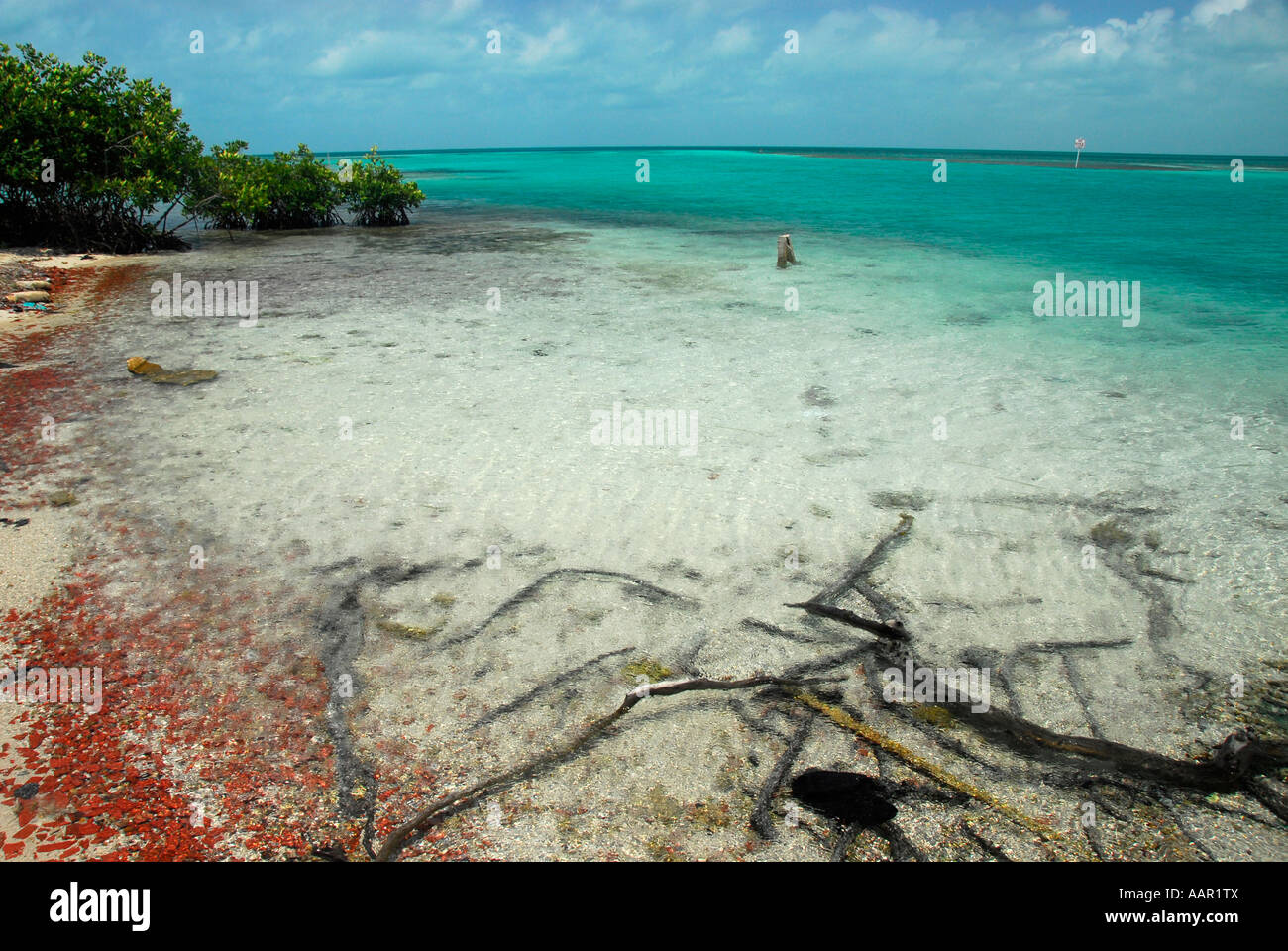 Caulker Caye, The Northern Cayes, Belize District, Belize, Central ...