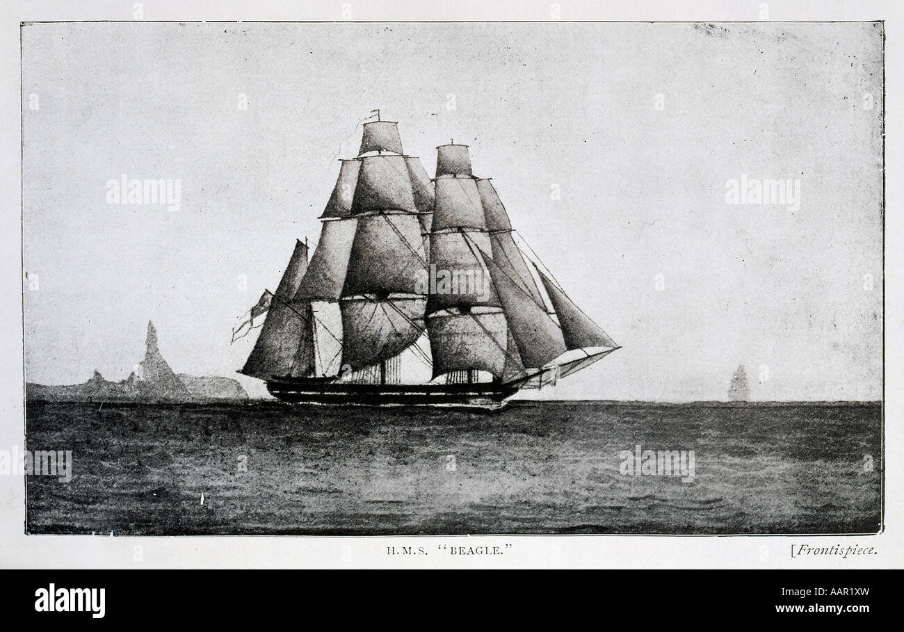 Hms beagle ship hi-res stock photography and images - Alamy