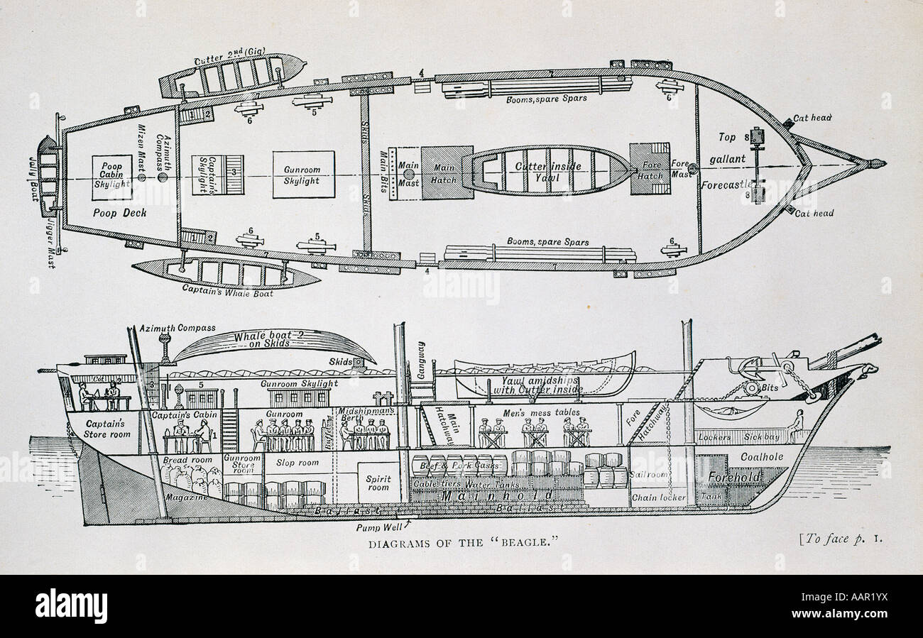 Hms beagle ship hi-res stock photography and images - Alamy
