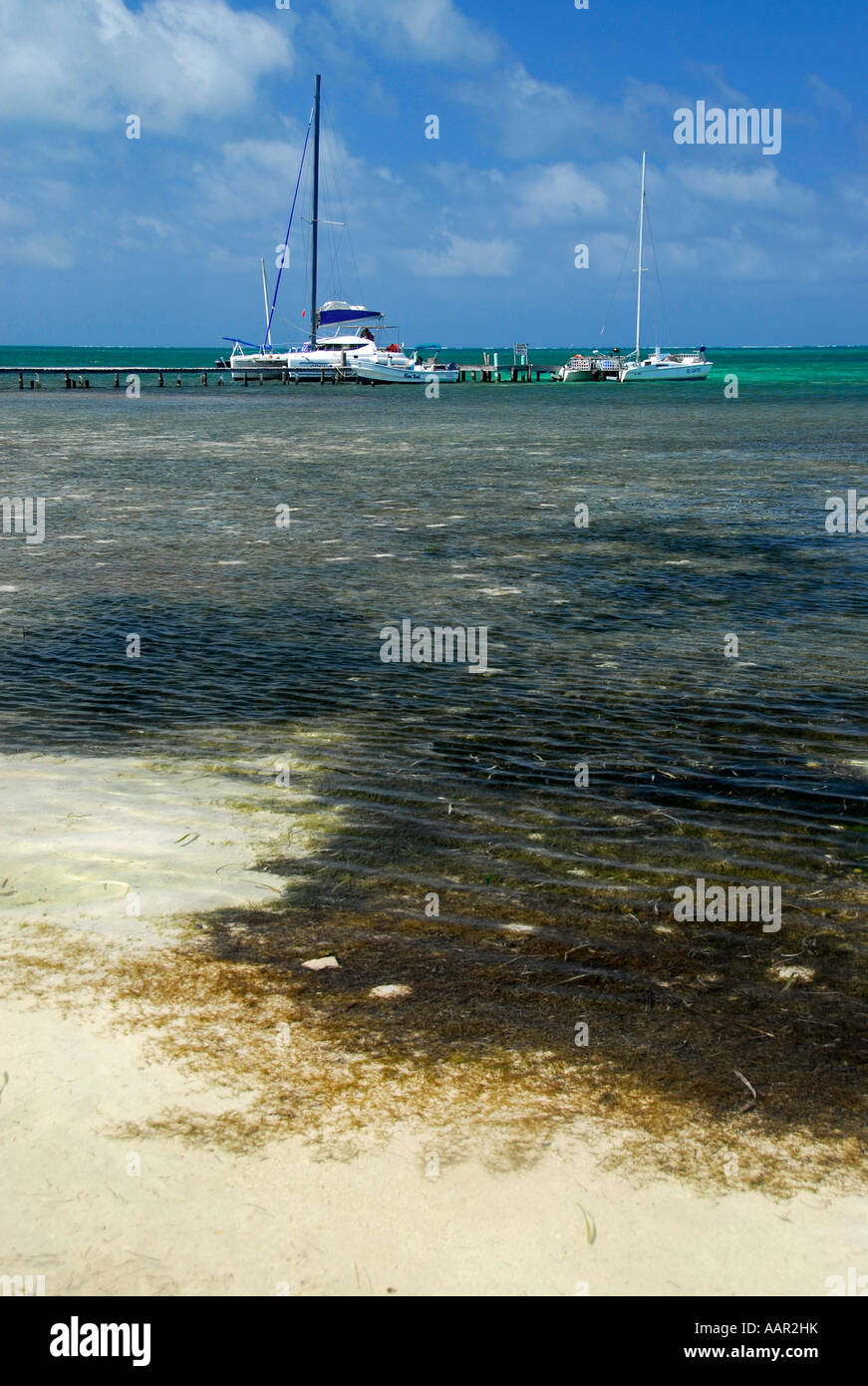 Caulker Caye, The Northern Cayes, Belize District, Belize, Central ...