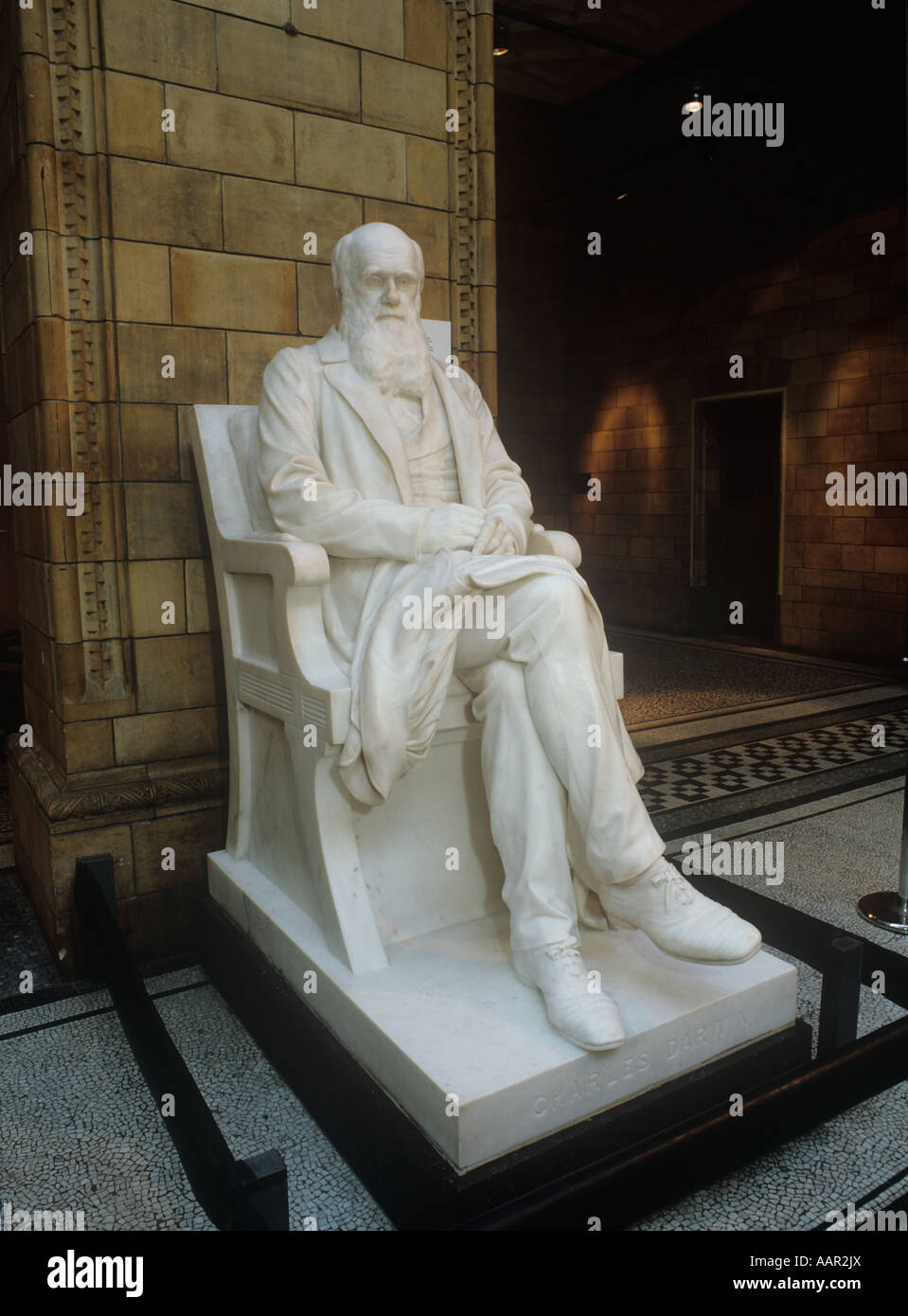 Charles Robert Darwin 1809 1881 Stock Photo - Alamy