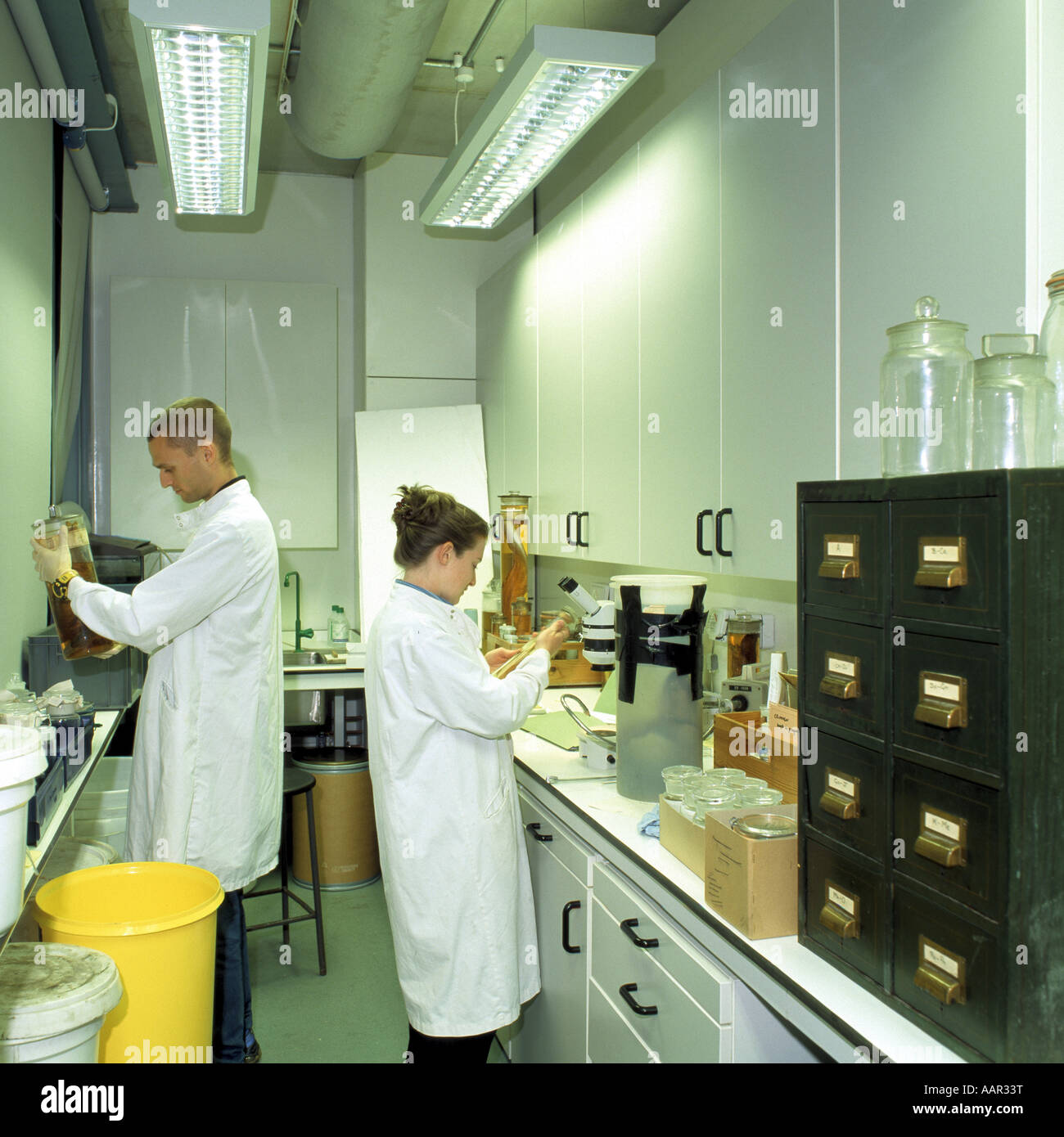 Laboratory in the Darwin Centre Stock Photo - Alamy