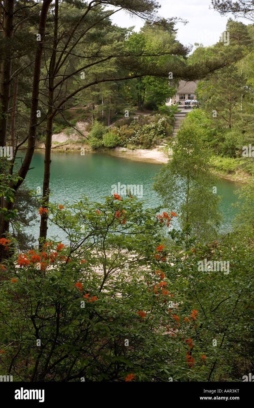 The Blue Pool Furzebrook Wareham Dorset UK Stock Photo - Alamy
