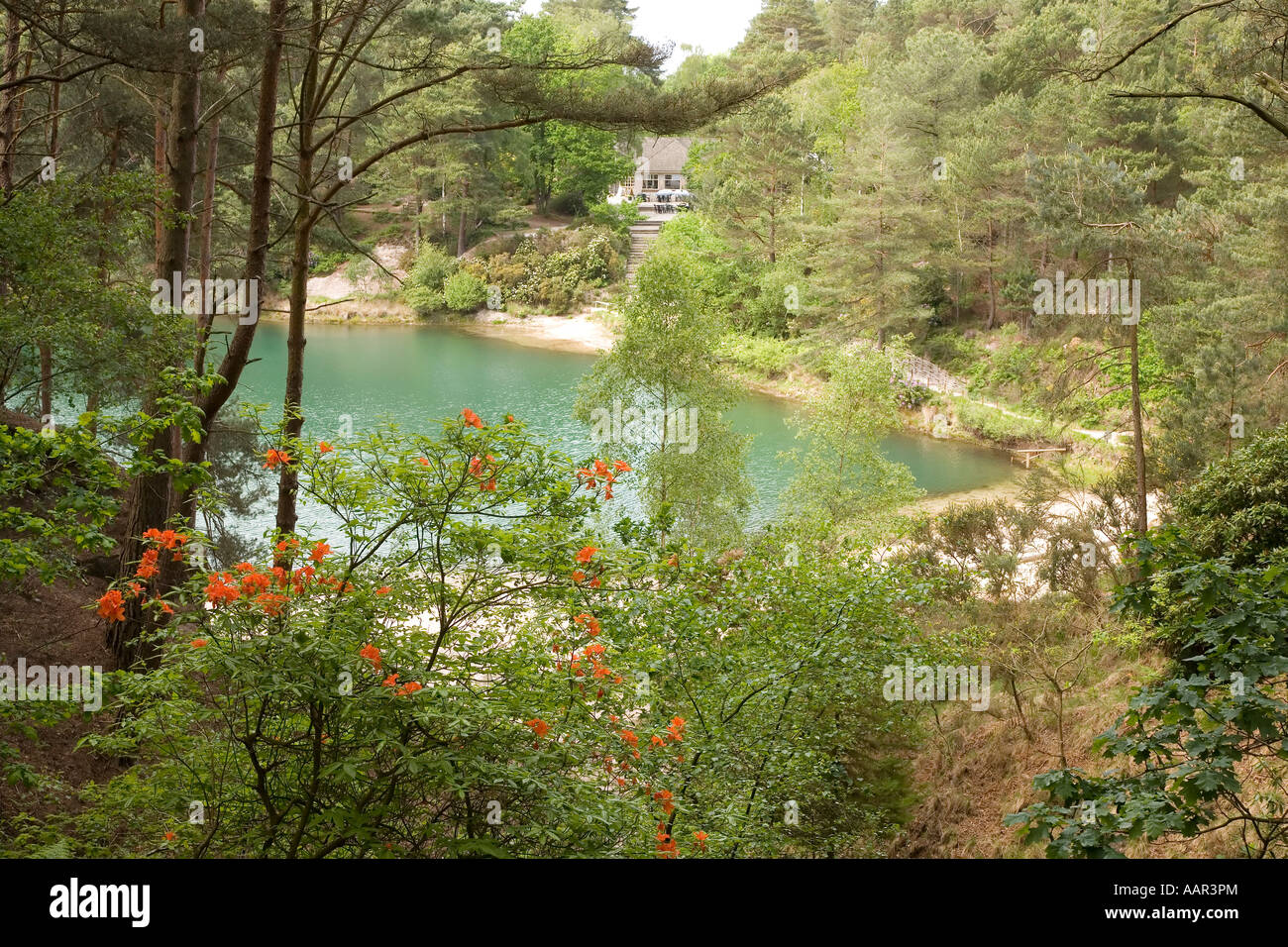 Blue pool wareham hi-res stock photography and images - Alamy