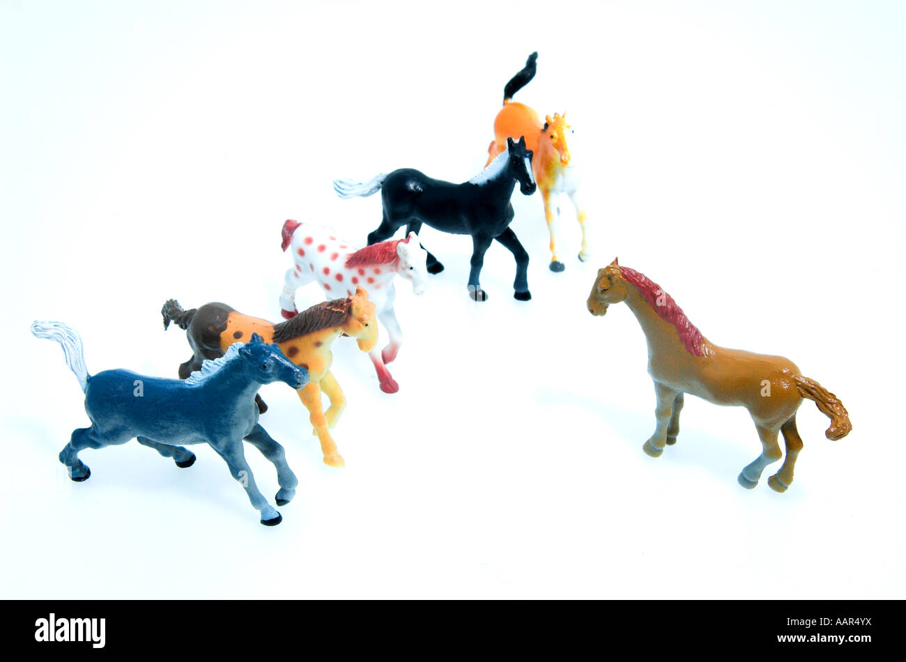 row of diverse horses standing in line with leader in front minature ...