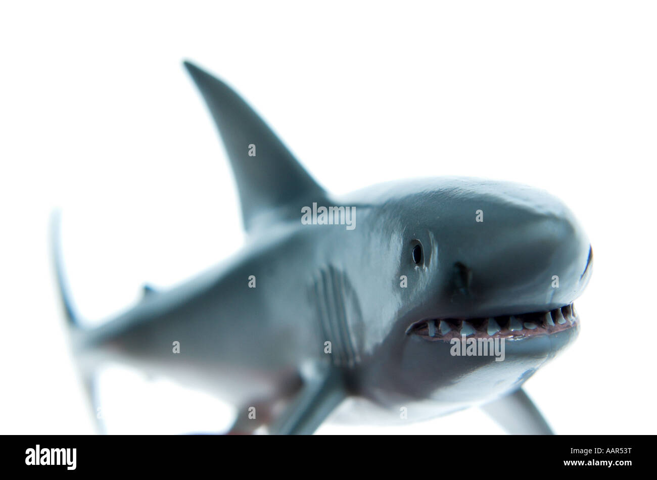 Toy shark hi-res stock photography and images - Alamy