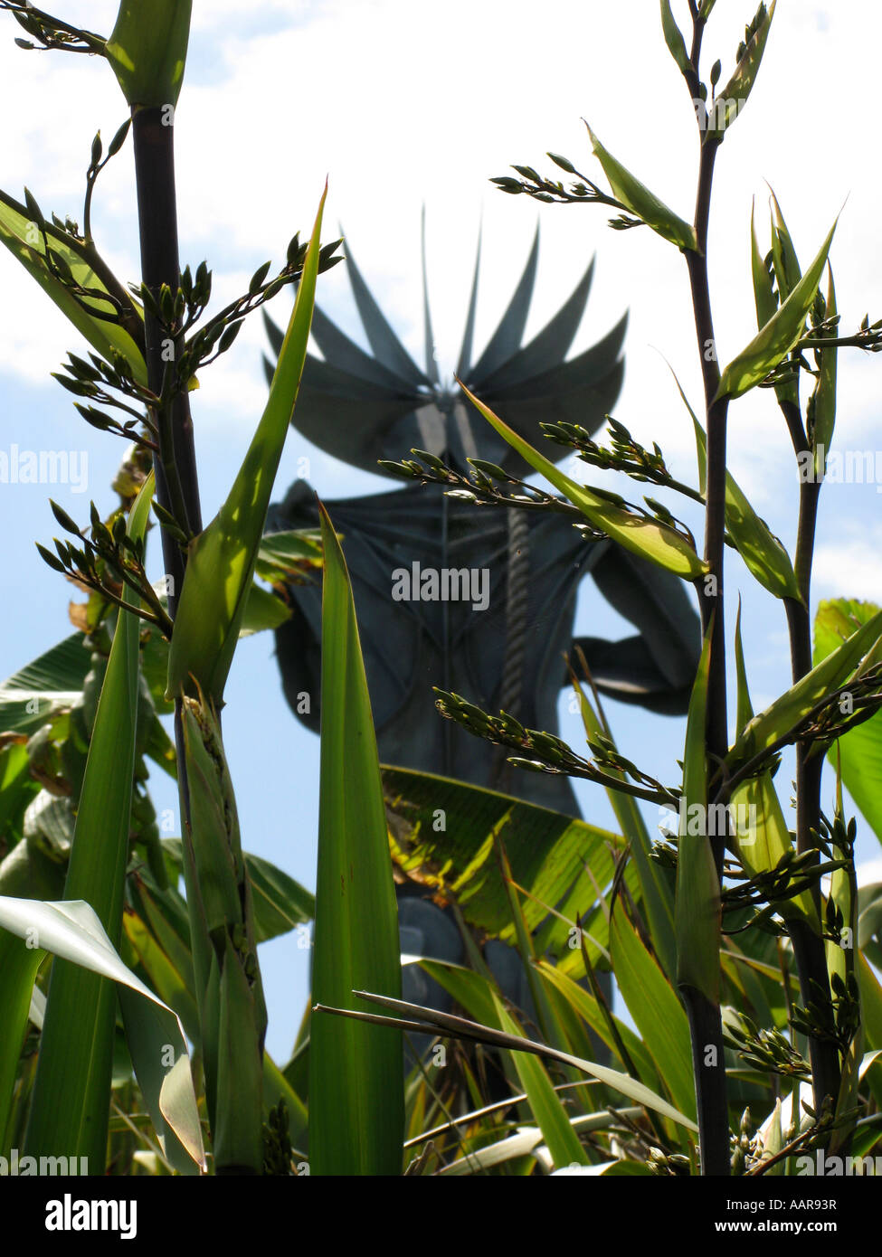 Tim smit eden hi-res stock photography and images - Alamy