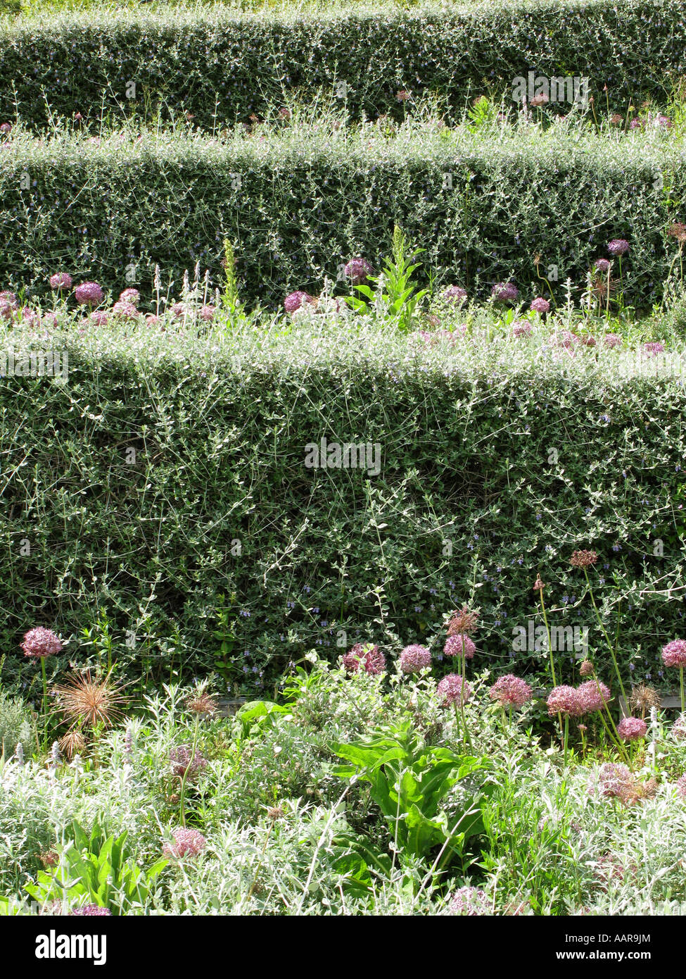 Tim smit eden project hi-res stock photography and images - Alamy