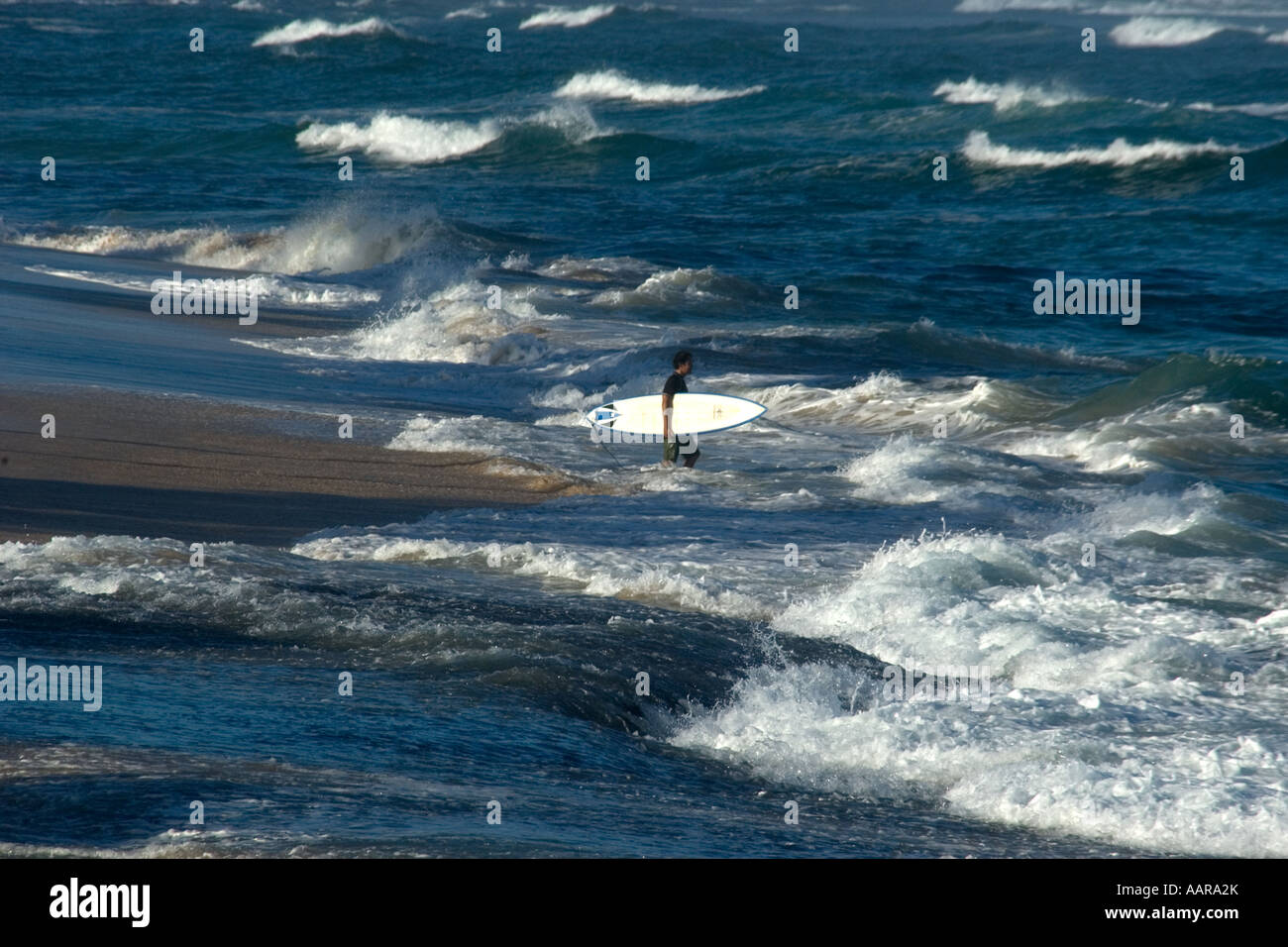 Surfer enters rough sea North Shore Oahu Hawaii USA Stock Photo - Alamy