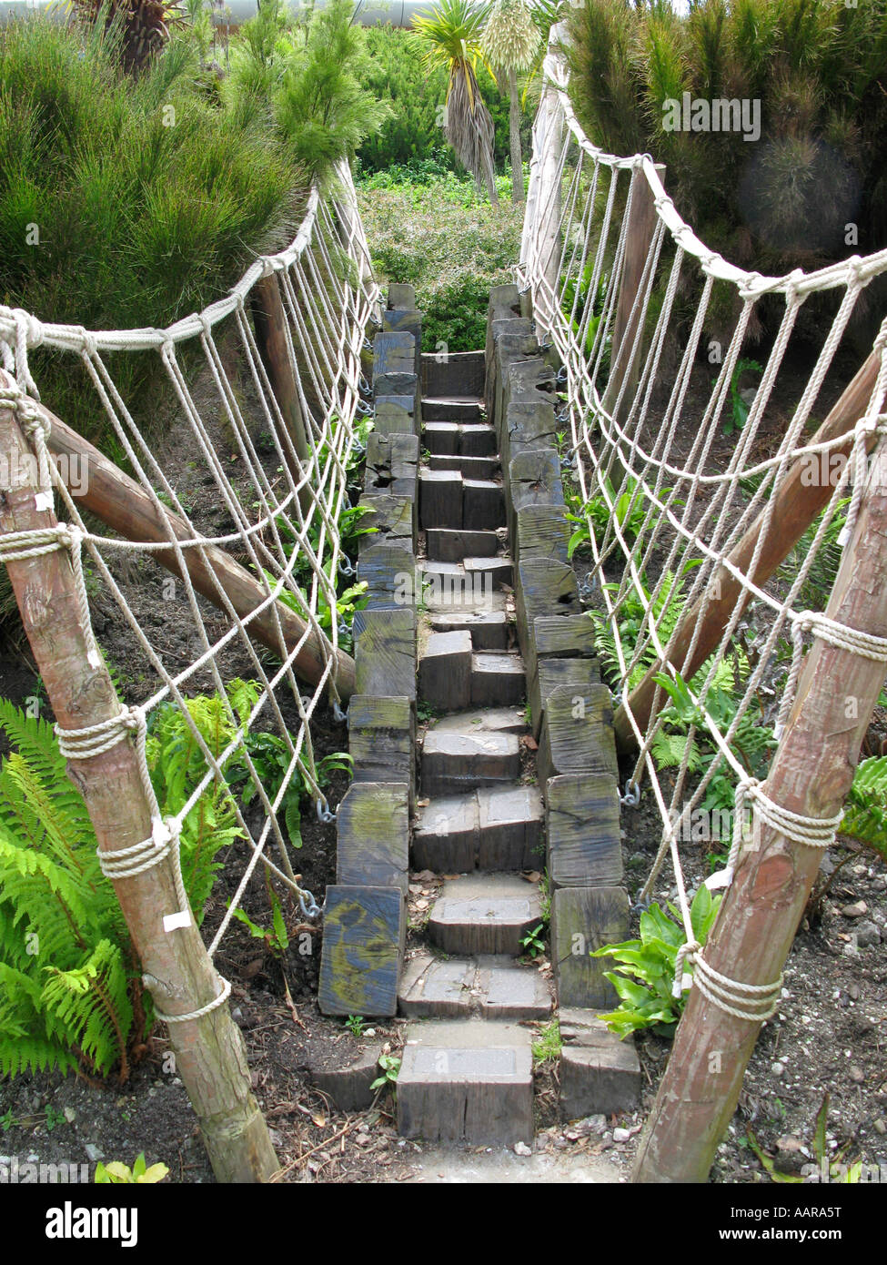 Wooden steps with rope banisters at the Eden Project Cornwall England ...