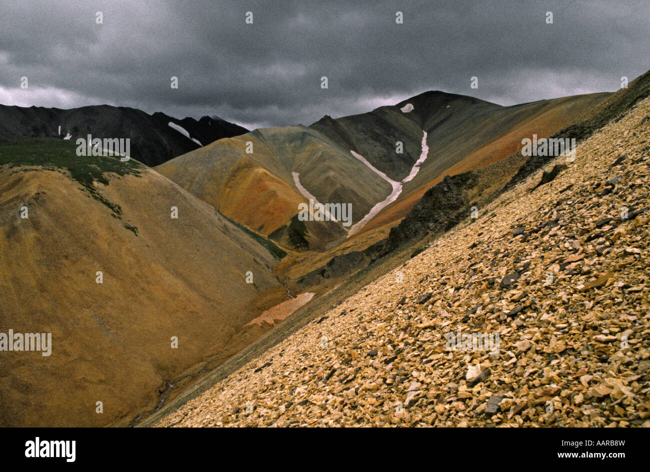 POLYCHROME GLACIER AREA DENALI NATIONAL PARK ALASKA Stock Photo - Alamy