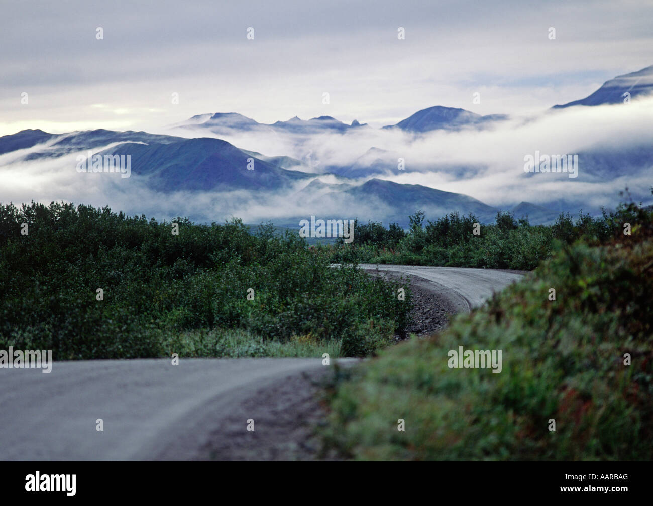Mist rises above the alaksa range denali national park hi-res stock ...