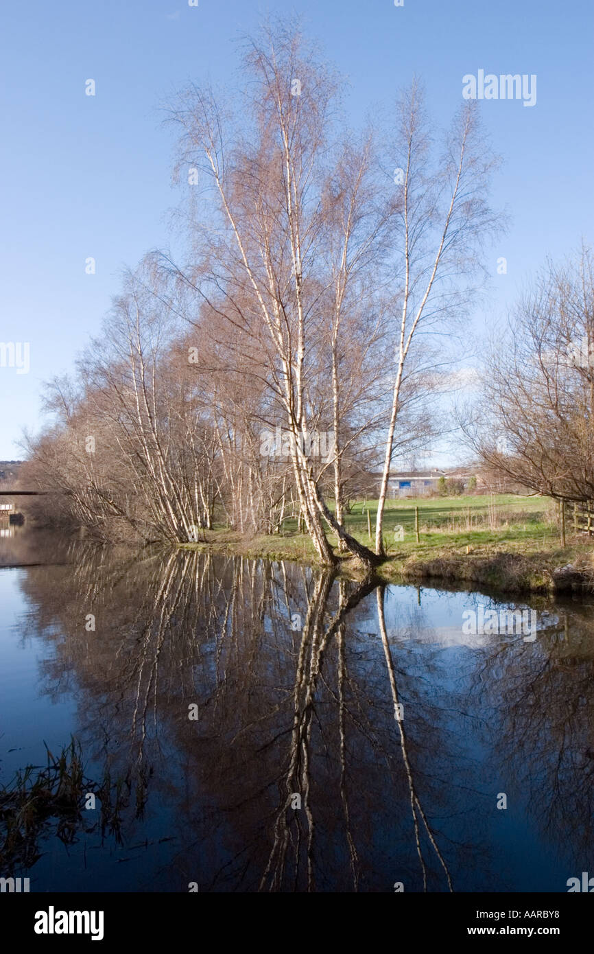 Canal side view Dewsbury Stock Photo - Alamy
