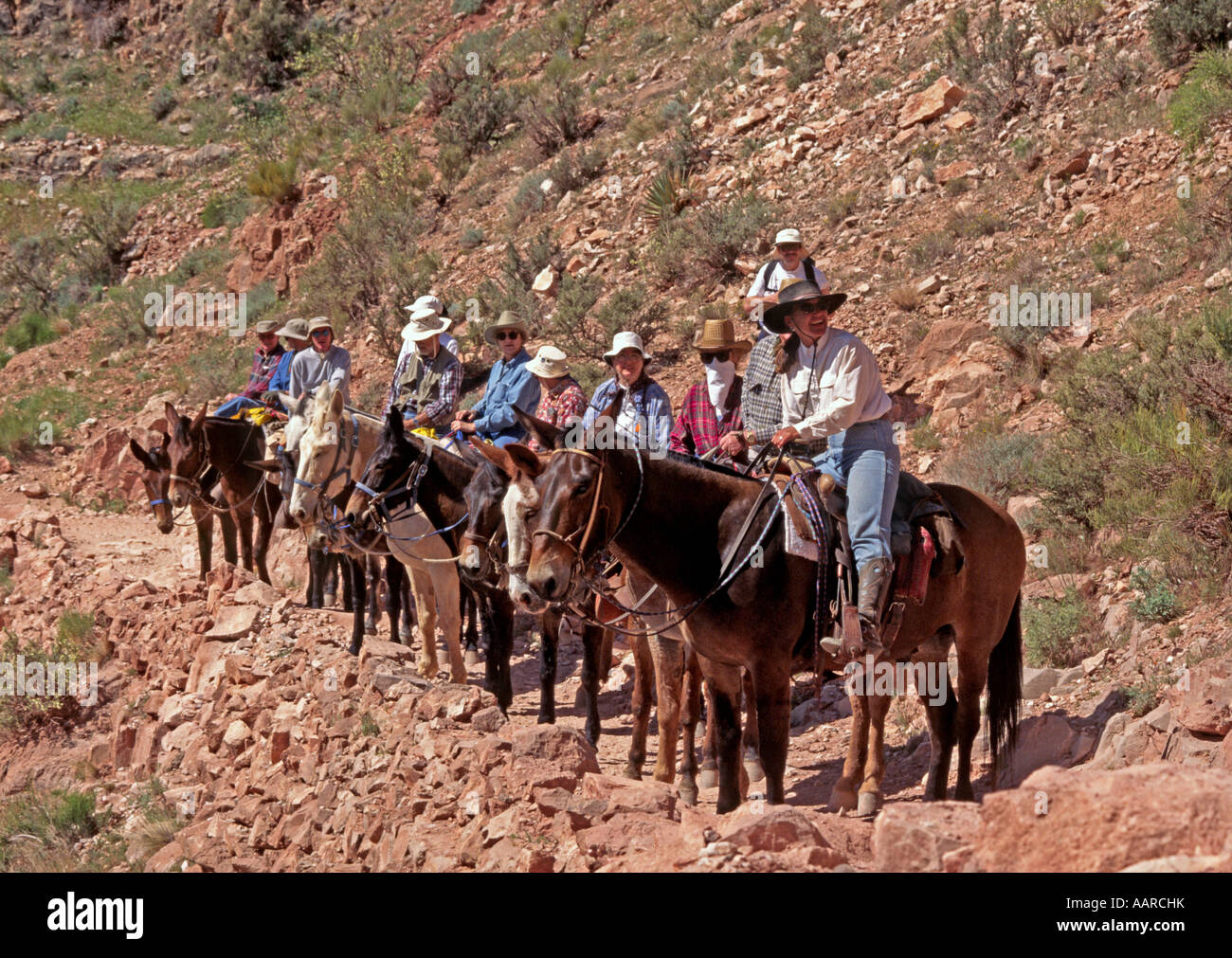 MULE TRAINS are used to transport both people luggage too from PHANTOM ...