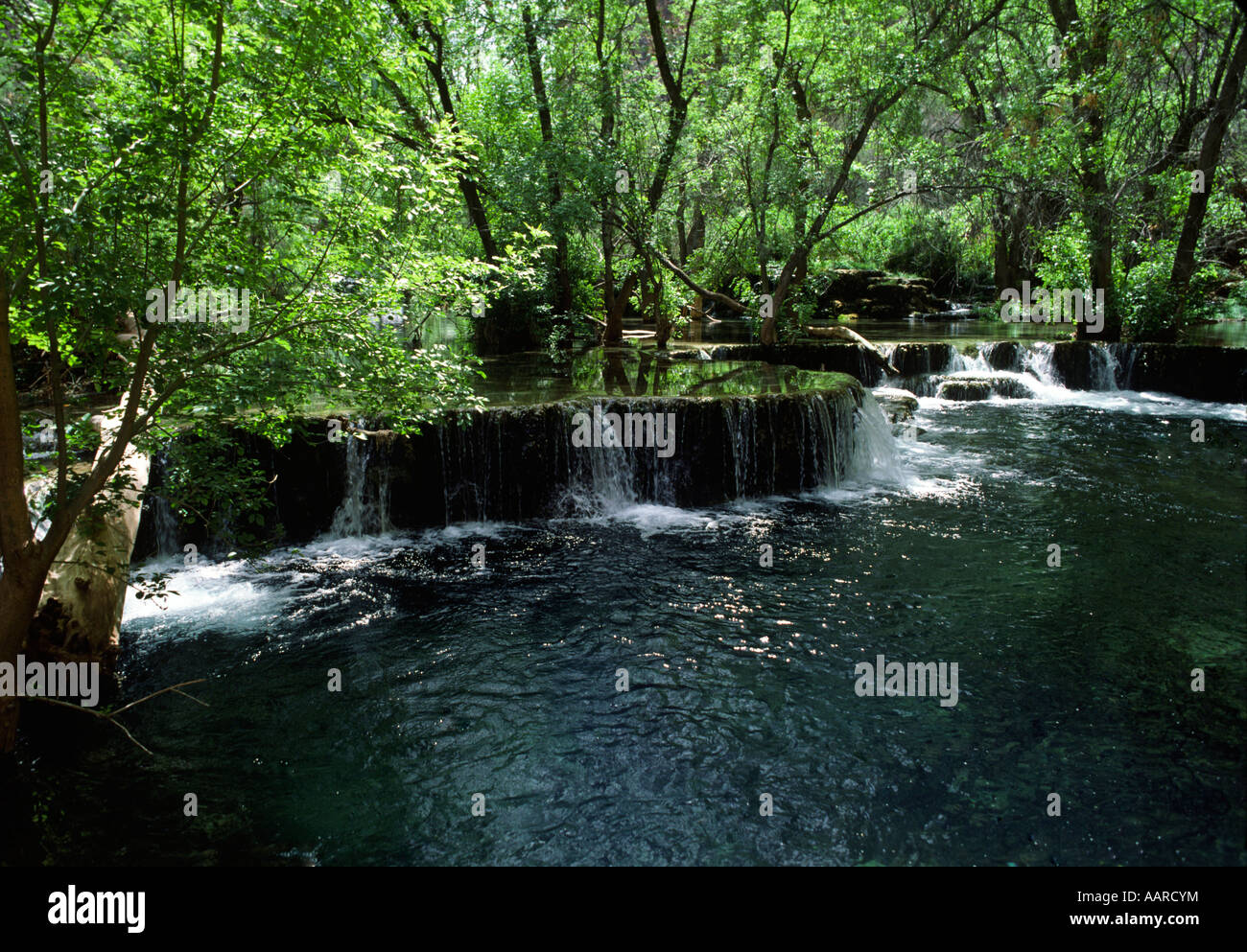 TRAVERTINE DAMS are a unique feature of HAVASU CREEK GRAND CANYON ...