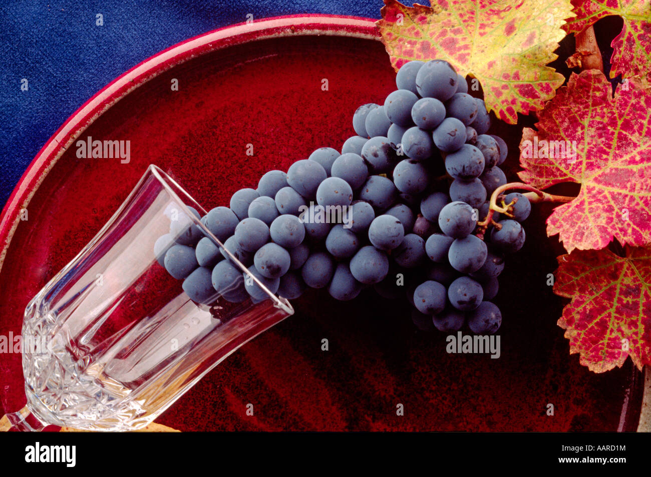 Agri food cluster hi-res stock photography and images - Alamy