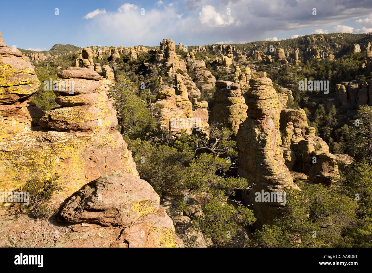 Land of the Standing Up Rocks Chiricahua National Monument Arizona ...